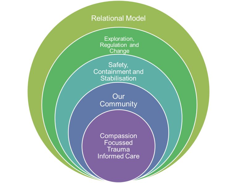 Secure inpatient service model of care and professional practice - Tees ...