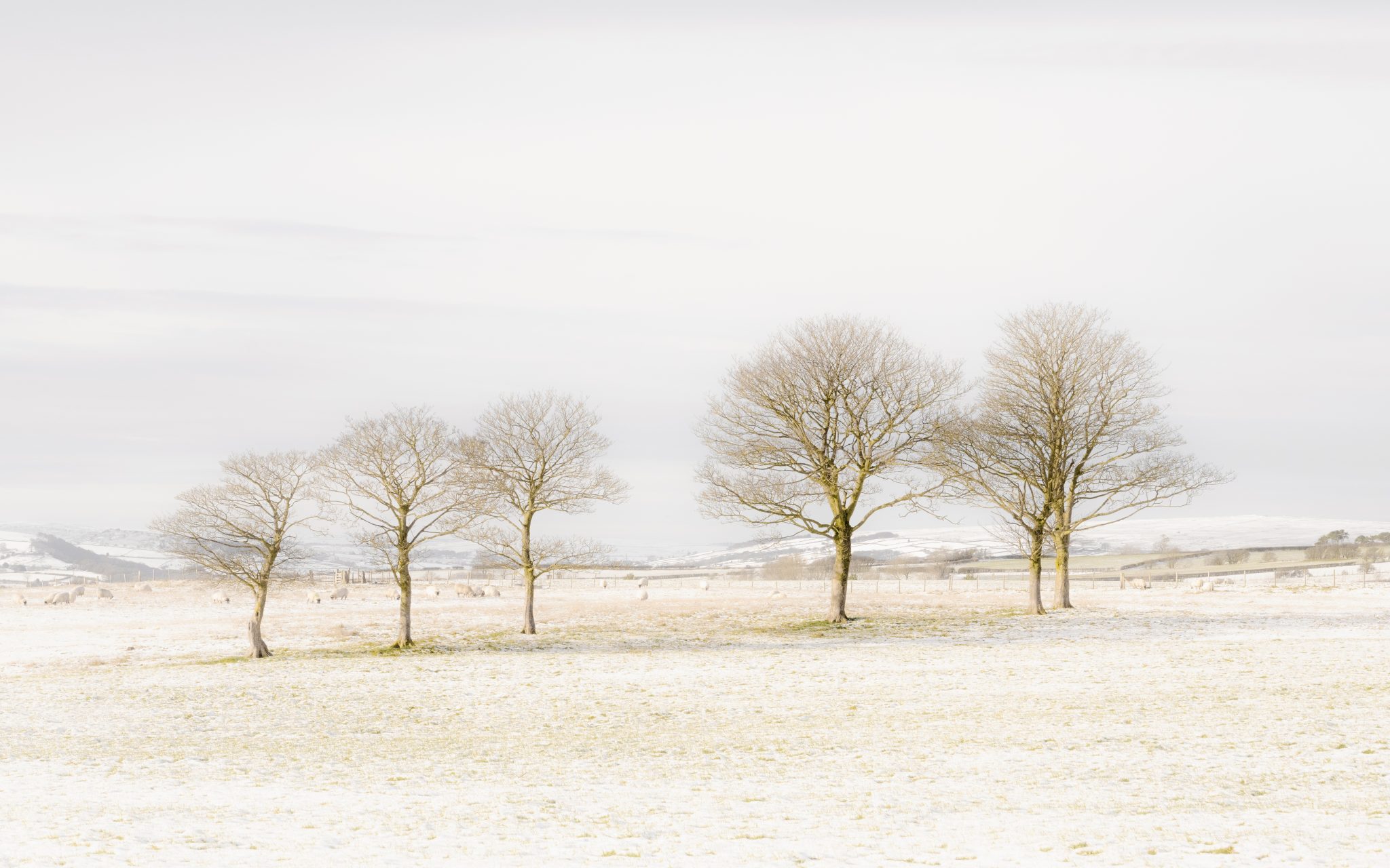 Trust helps photographer focus on picture perfect future - Tees Esk and ...