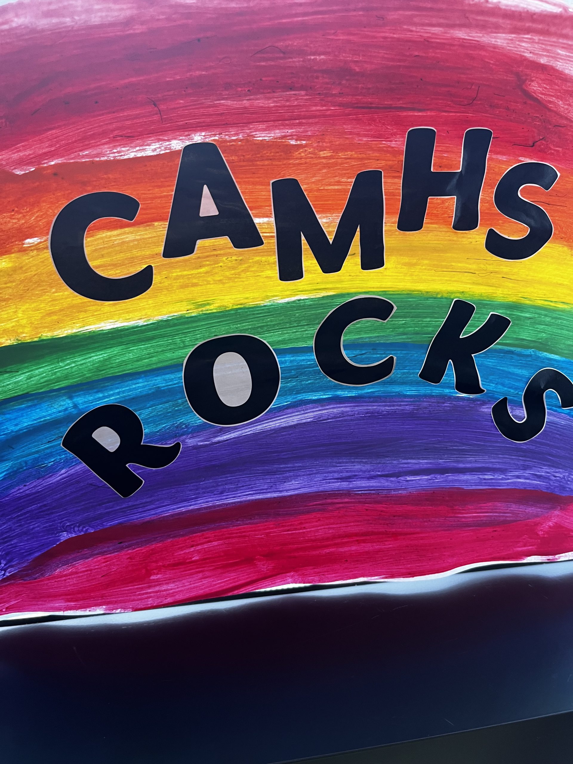 Children’s Mental Health Week rocks in Redcar - Tees Esk and Wear ...