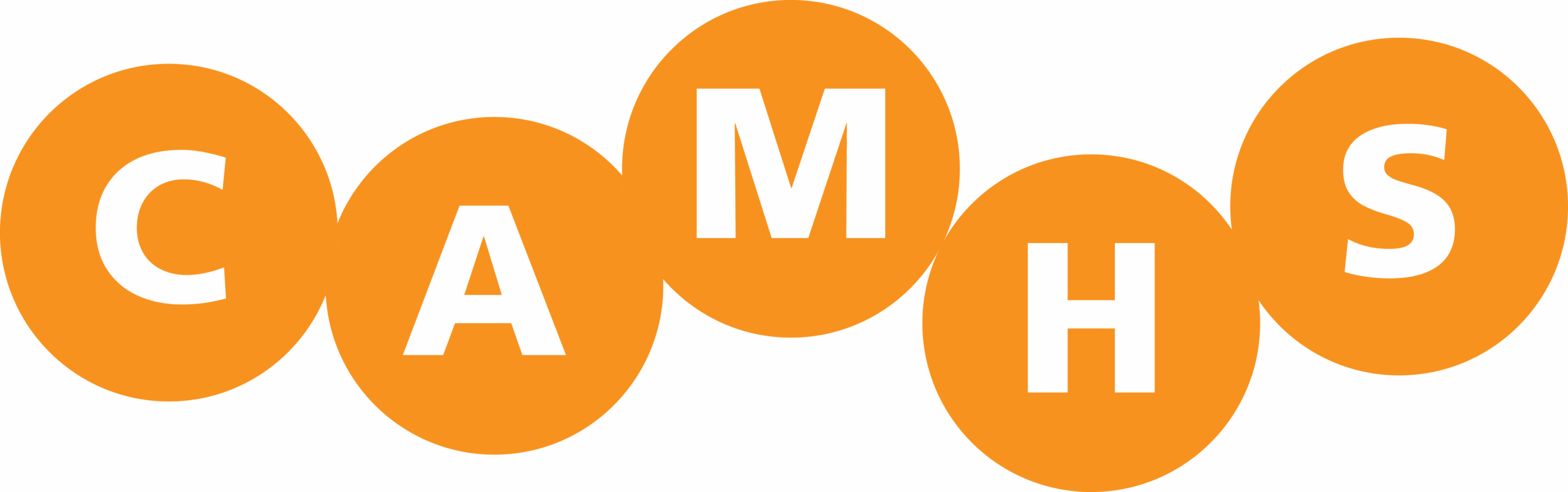 Professionals CAMHS training in County Durham