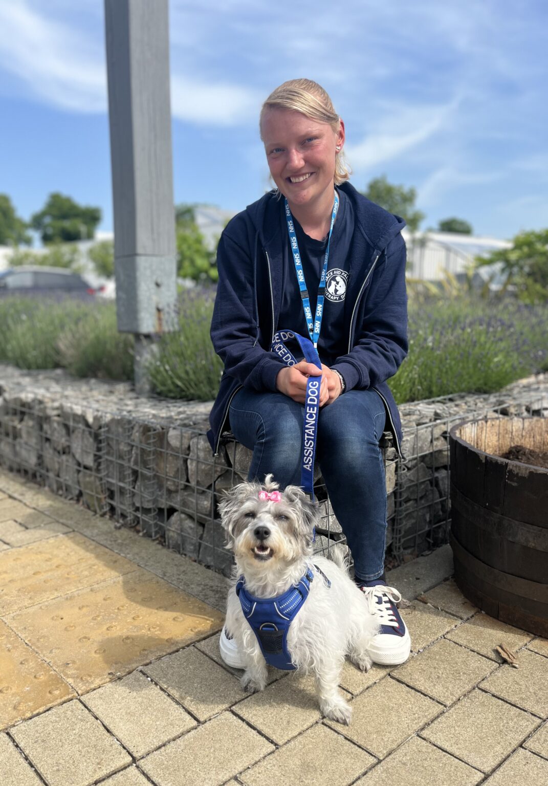 Volunteer and therapy dog give hope to others - Tees Esk and Wear ...